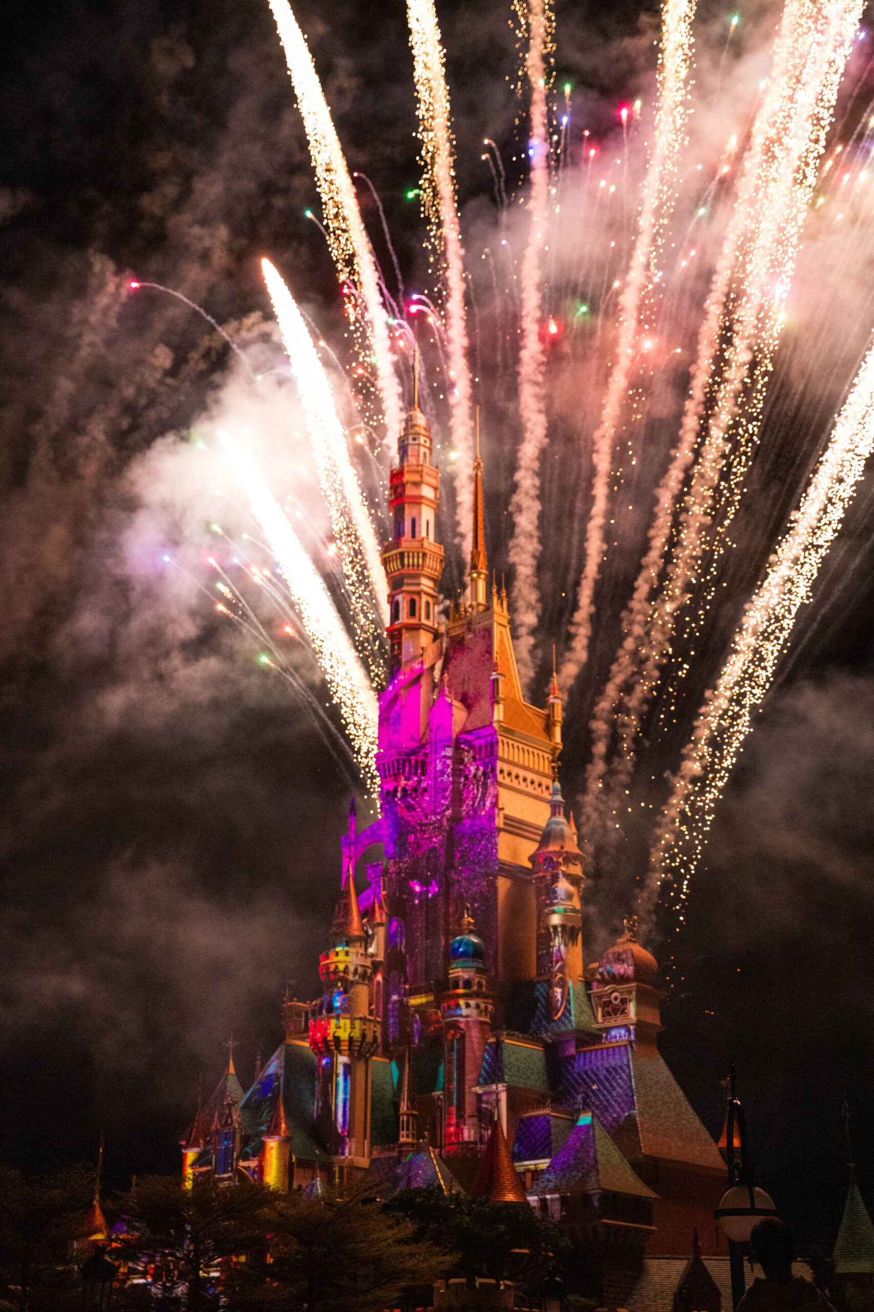 Everything You Need To Know About Visiting Hong Kong Disneyland ...